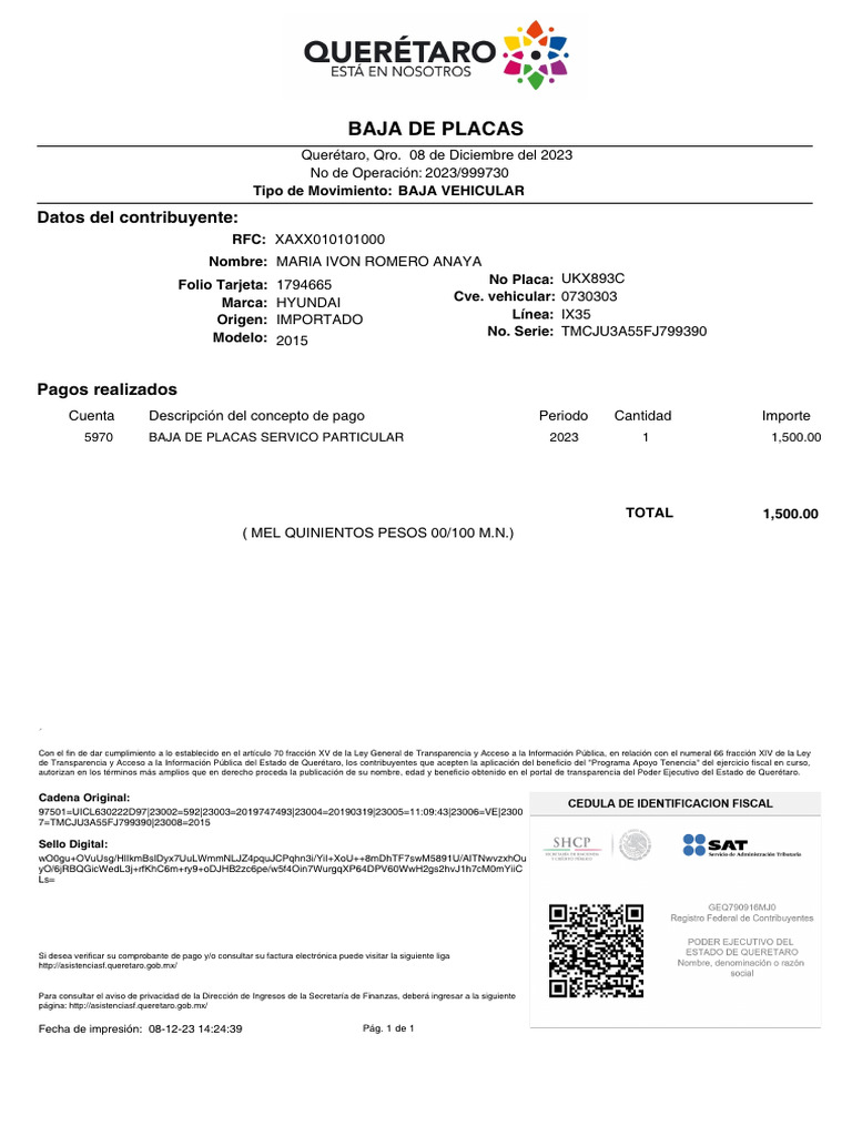 Baja Vehicular y Pago de Placas | PDF | Tecnologías de la información