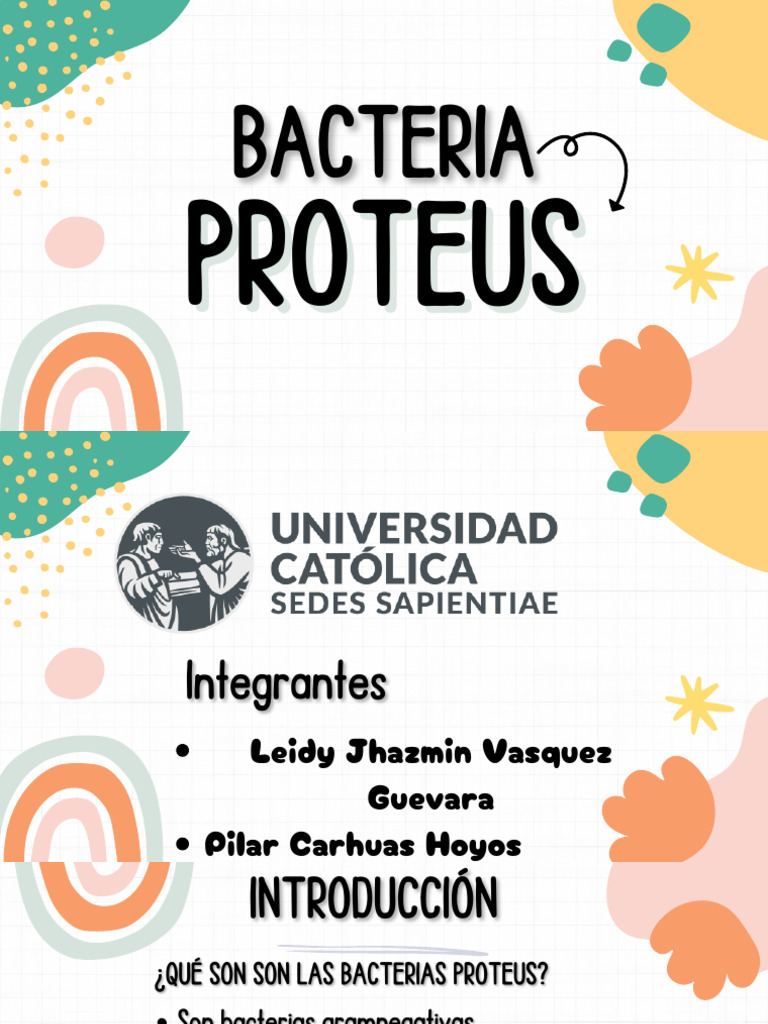 Presentacion Proyecto Creativo Organico Multicolor Pastel | PDF