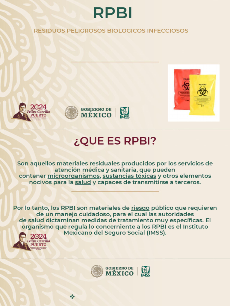 IMSS Presentacion 2024 | PDF