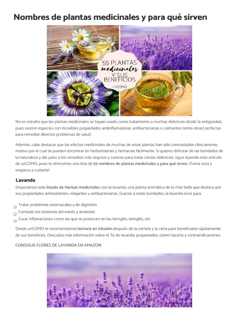 Nombres de plantas medicinales y para qué sirven | PDF