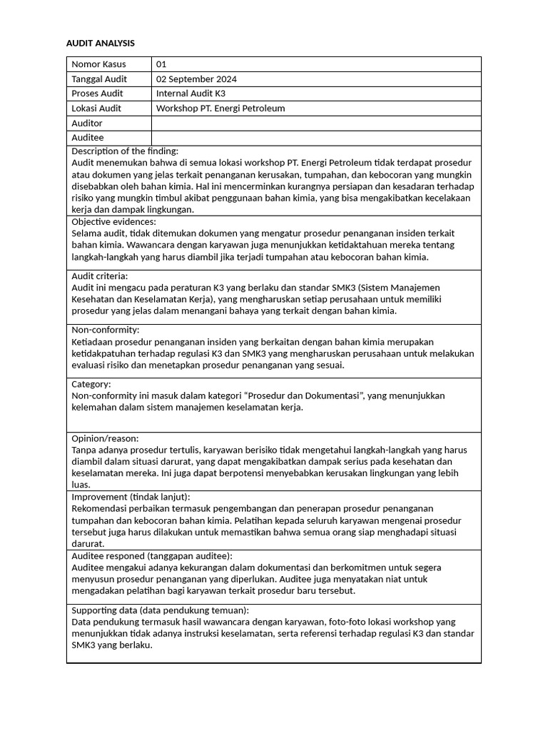 TPD 4 - Audit Analysis | PDF