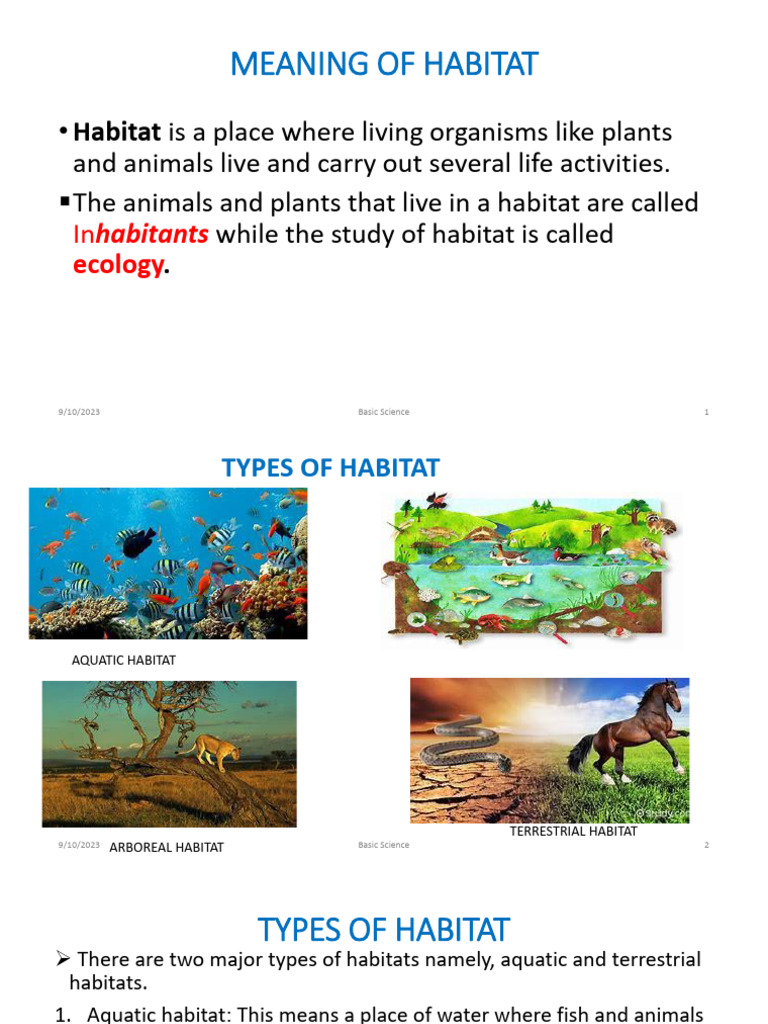 Understanding Habitat Types and Adaptations | PDF | Marsh | Habitat