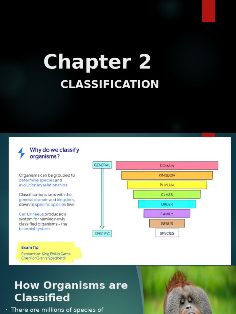 O-Level Chapter 2 | PDF | Leaf | Cell (Biology)
