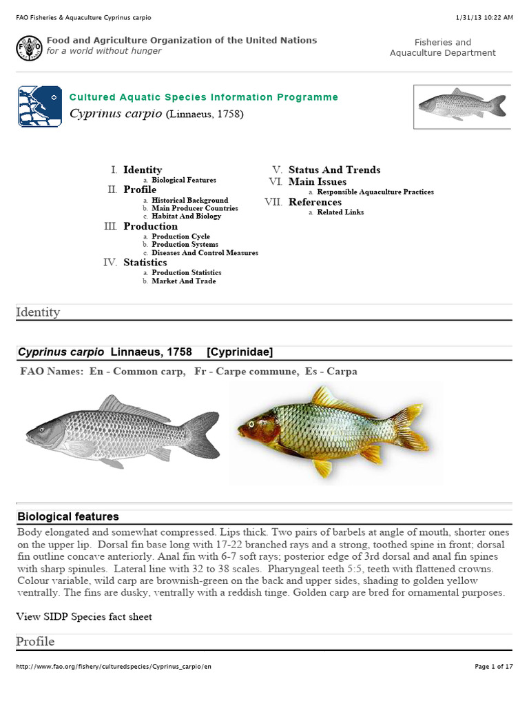 FAO Fisheries & Aquaculture Cyprinus Carpio | PDF