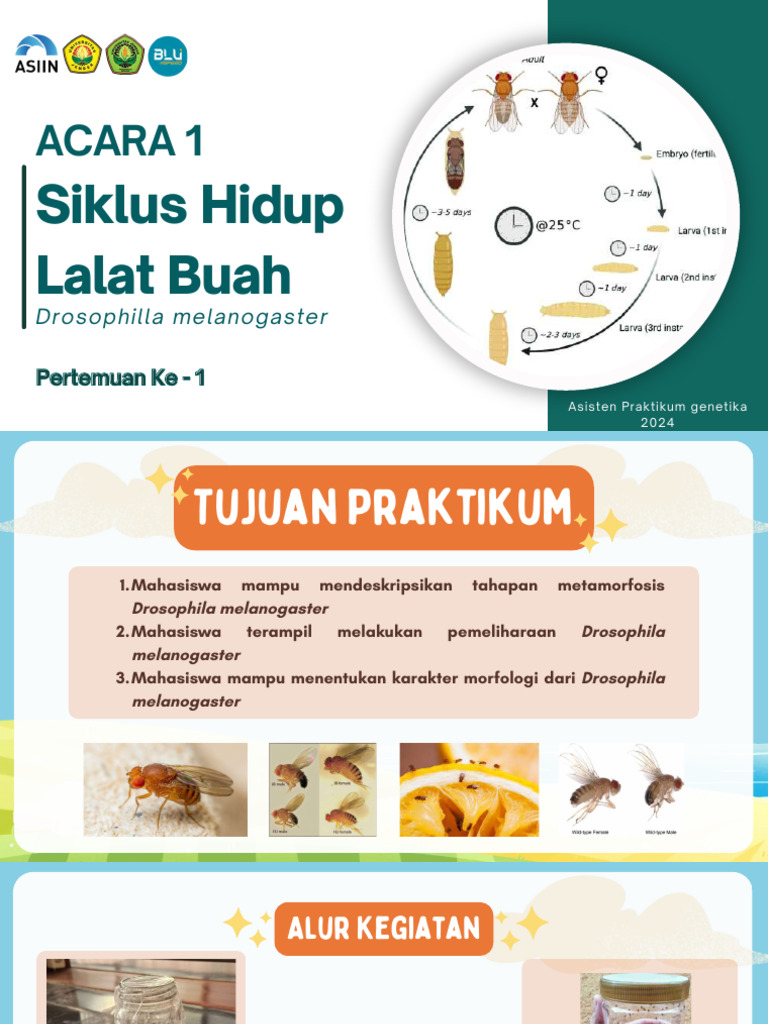 ACARA 1 TM 1 - Compressed | PDF