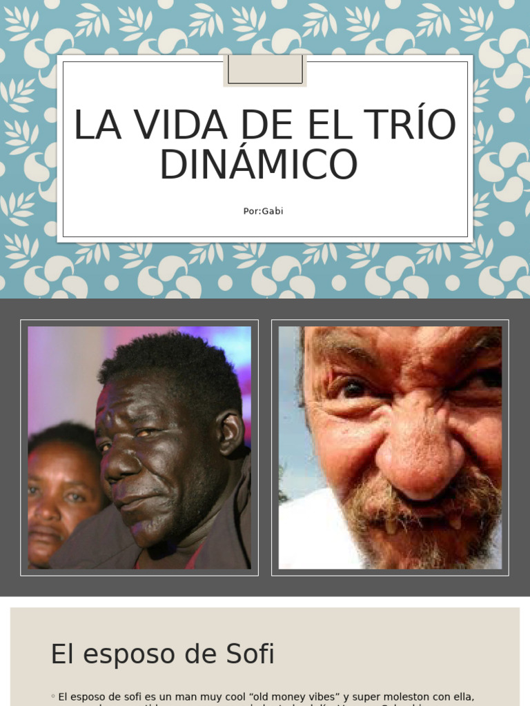 Presentation Jana Sofi | PDF