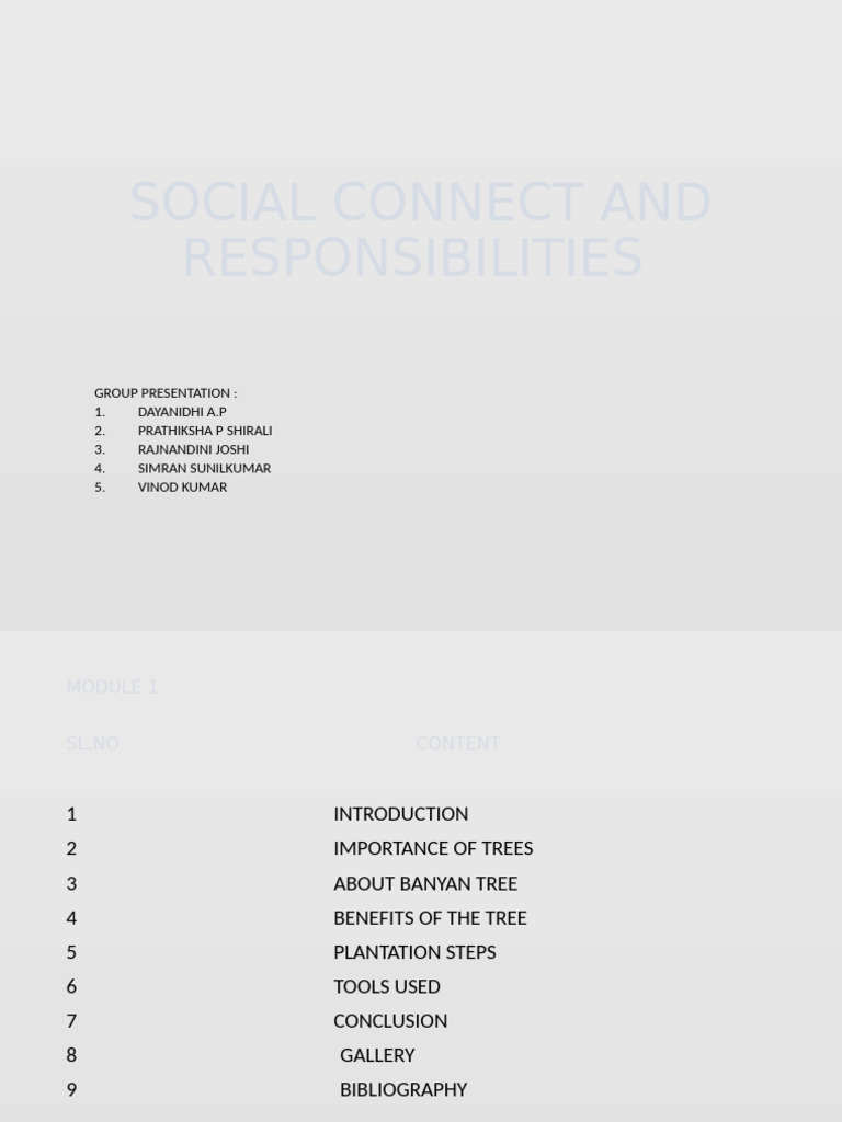 Social Connect and Responsibilities | PDF