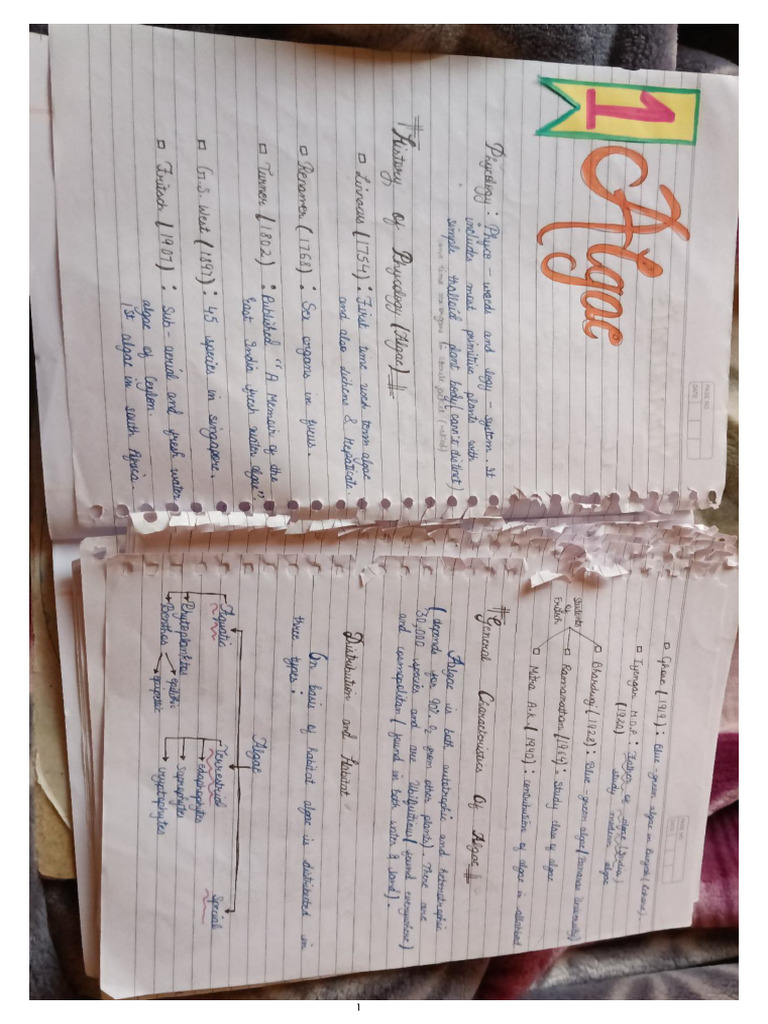 Plant Diversity 1 Notes | PDF