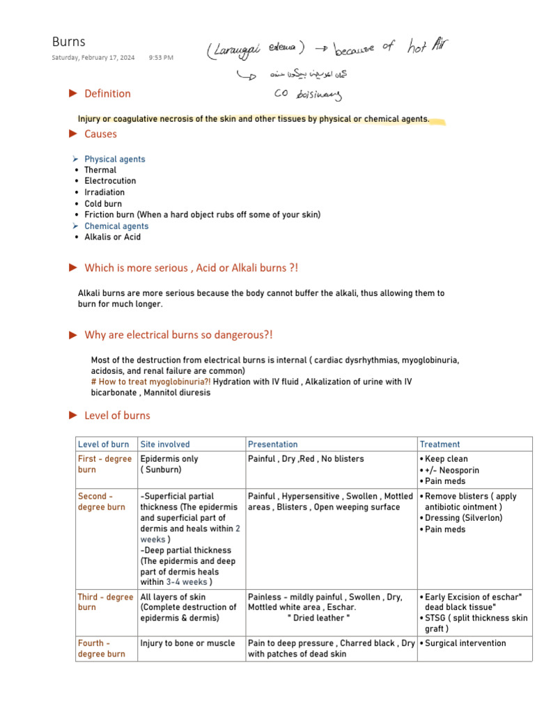 Burns | PDF