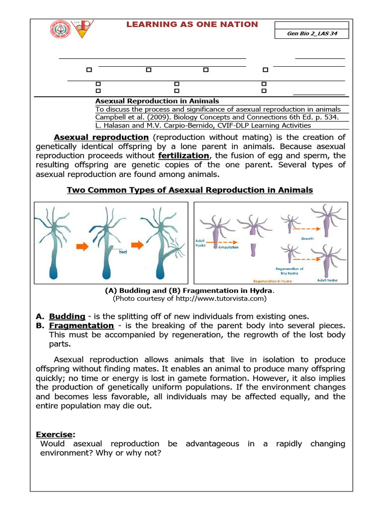 Gen Biology 2 LAS 34 Asexual Reproduction in Animals | PDF