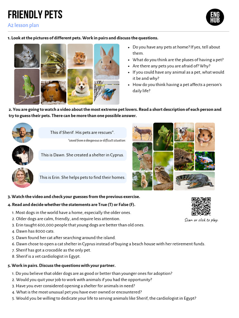 A2 Friendly Pets A4 Worksheet SV | PDF