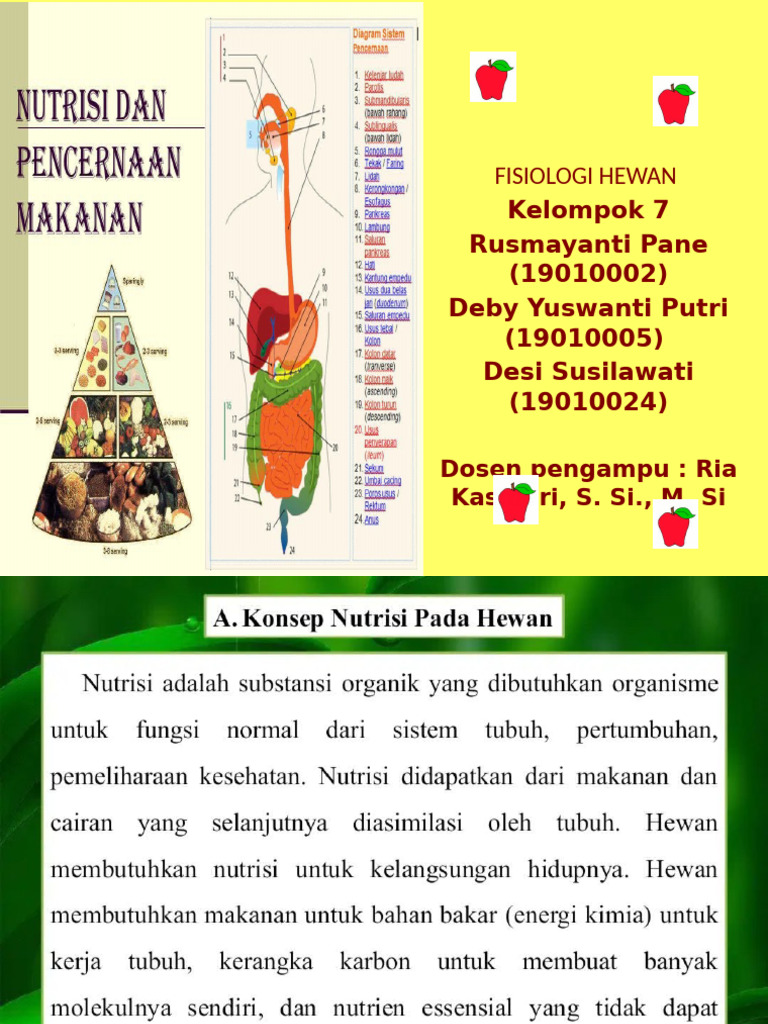 Kel.7-NUTRISI PENCERNAAN | PDF