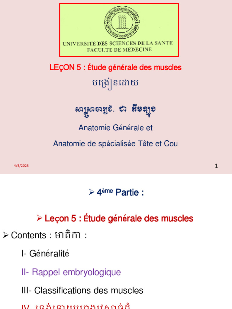 Etud. Général. Muscles 2022 | PDF