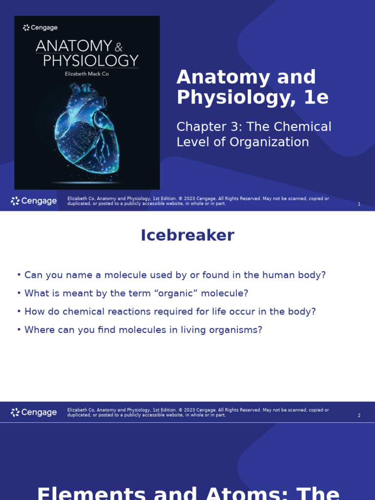 Co A&P 1e PPT CH03 Revise p2 | PDF