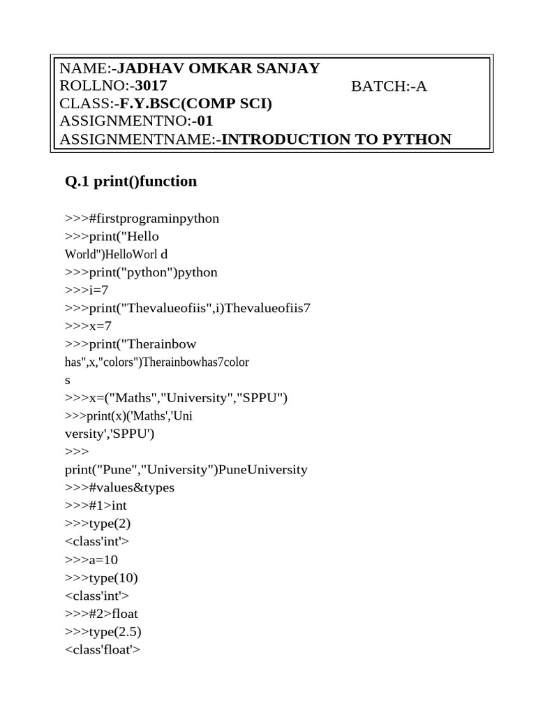 Assignment PY ALL | PDF