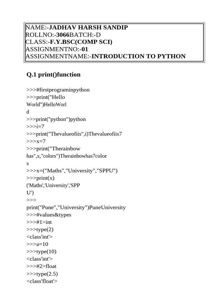 Assignment PY ALL | PDF