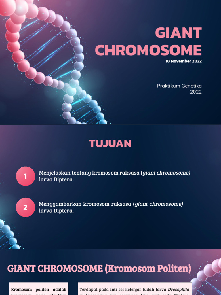 Acara 10 - Giant Chromosome | PDF