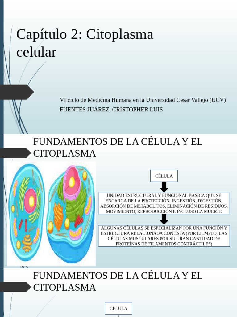 Capítulo 2 Citoplasma Celular | PDF