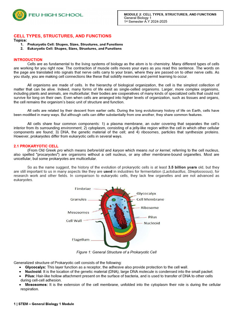 Module 2 - Cell Types, Structures, and Functions | PDF