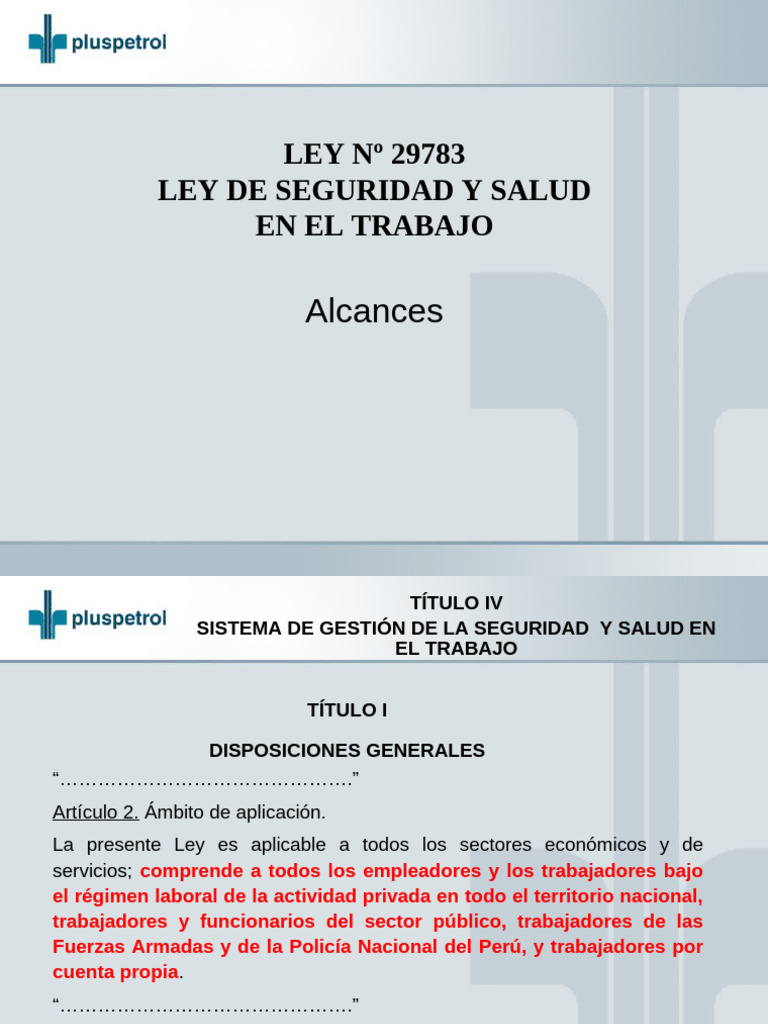 Ley 29783 Ley de Seguridad y Salud Ocupacional | PDF