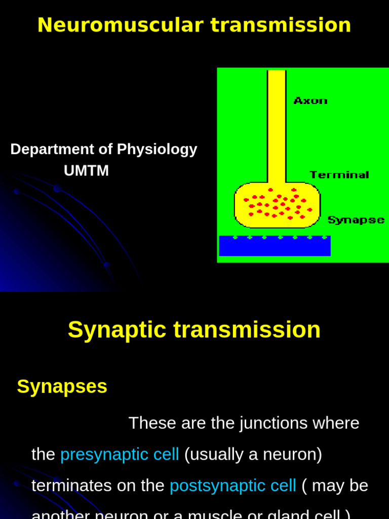 2022 Neuromuscular Transmission | PDF