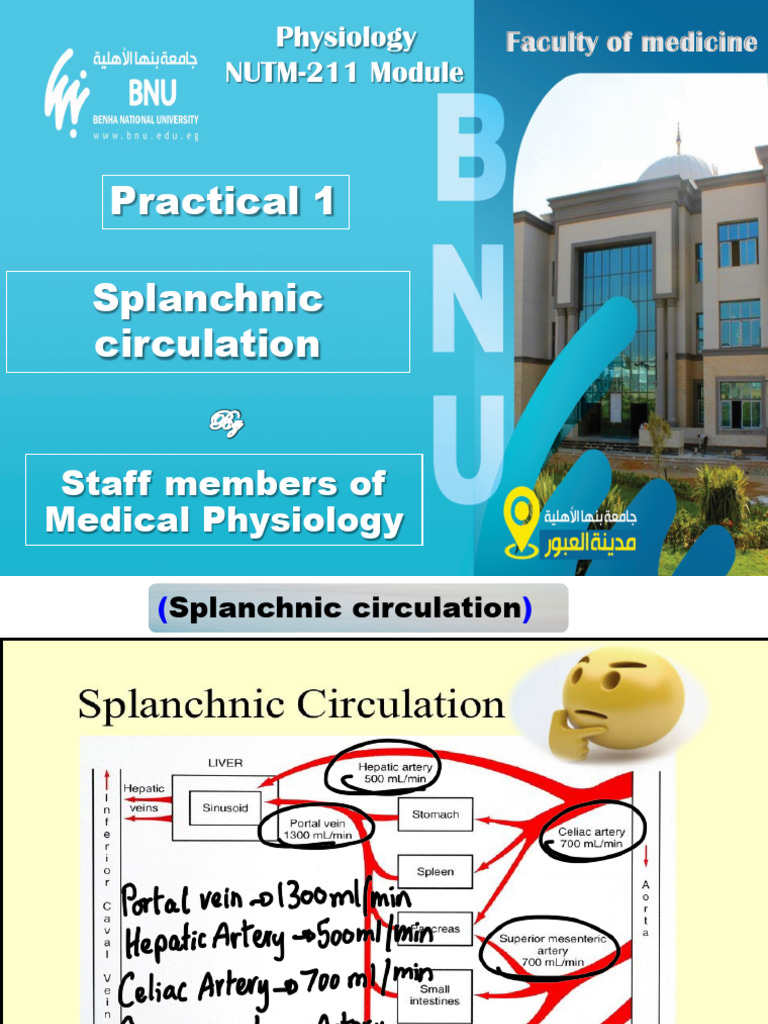 P1 Splanchnic Circulation-Unlocked | PDF