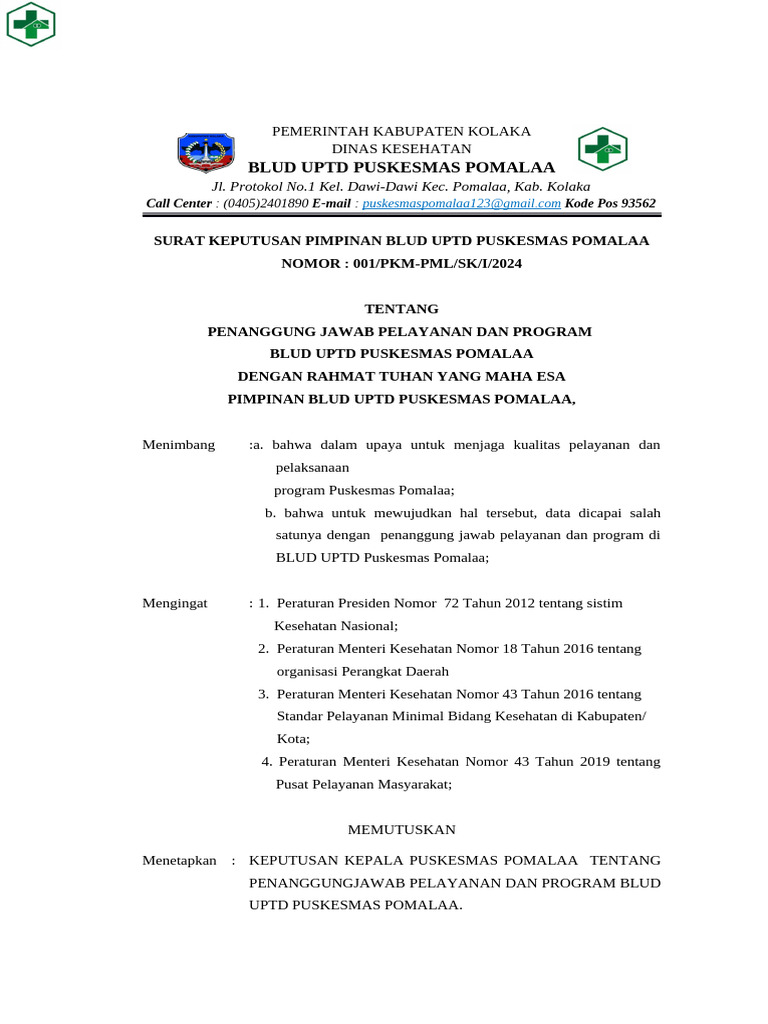 SK Penetapan PJ Ukm Dan SK Programer | PDF