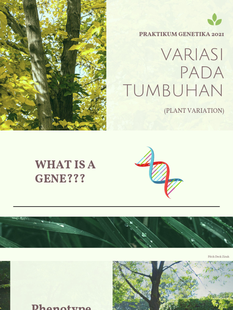 Acara 1 - Variasi Pada Tumbuhan-Compressed | PDF