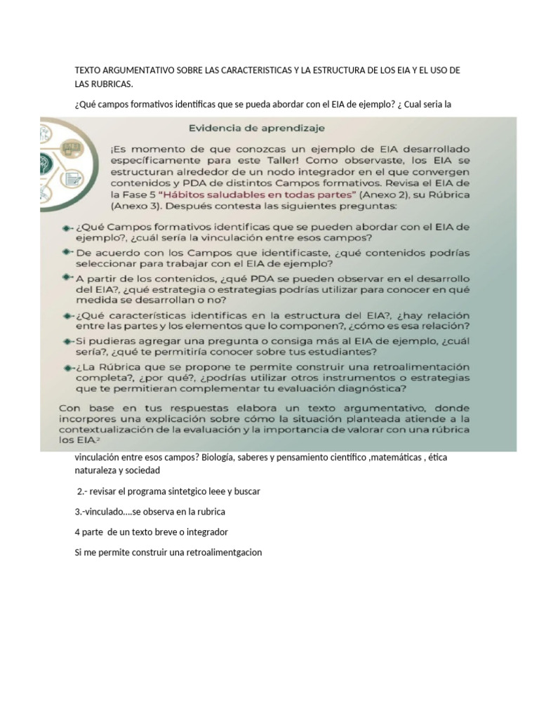 Texto Argumentativo Sobre Las Caracteristicas y La Estructura de Los Eia y El Uso de Las ...