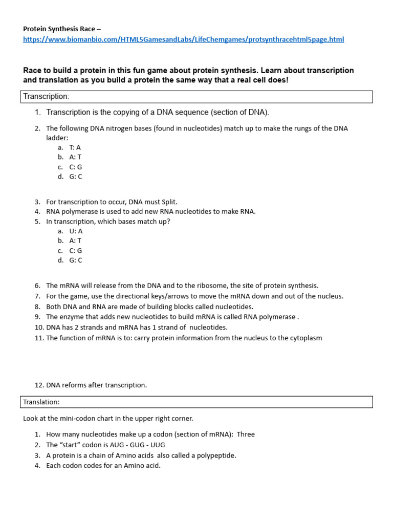 Protein Synthesis Race Worksheet Blank Template | PDF