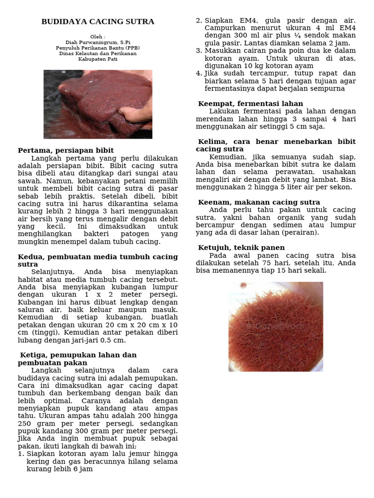 Budidaya Cacing Sutra - Diah | PDF