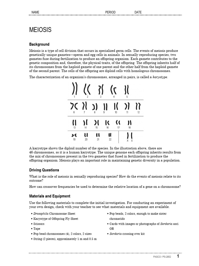 Genetics Exercise 1-3 | PDF