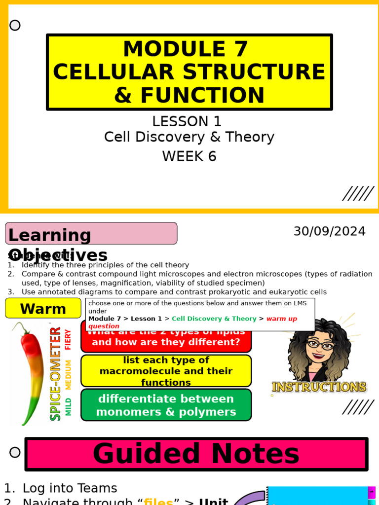 Module 7.1 Cell Discovery & Theory | PDF