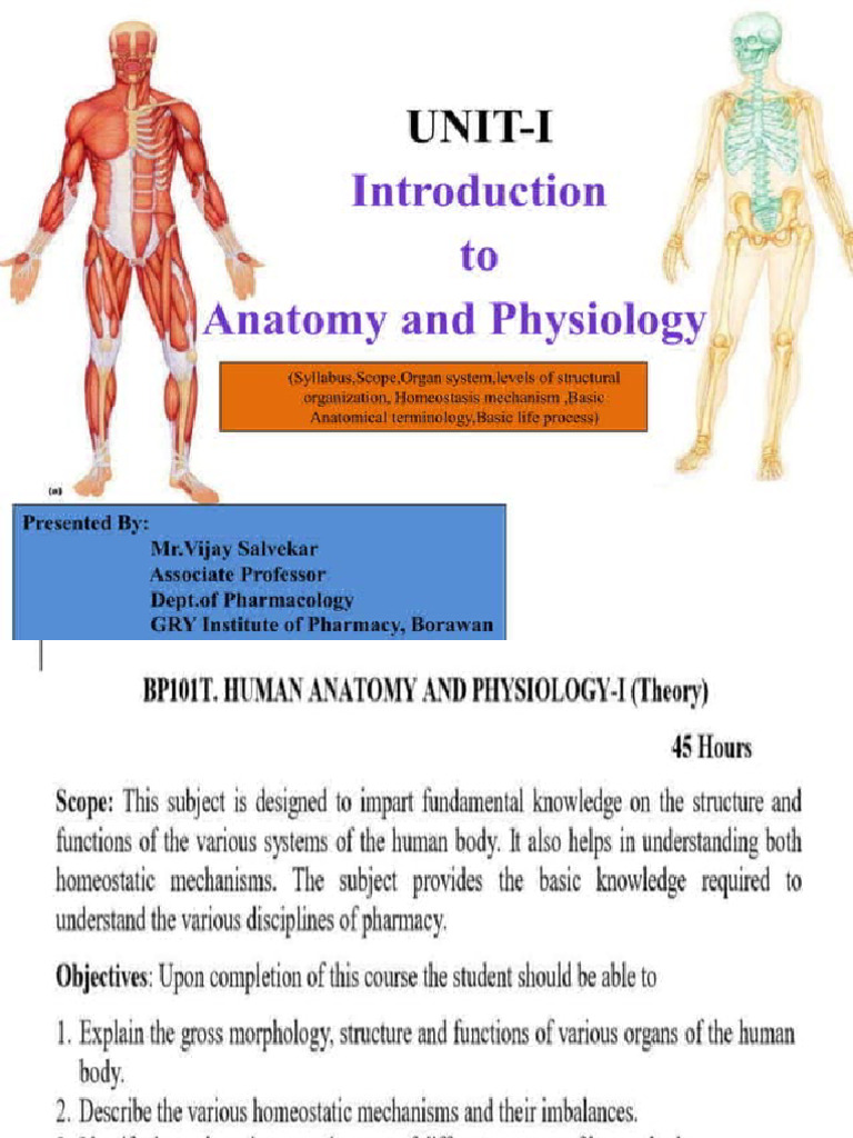 Anaphy Intro | PDF