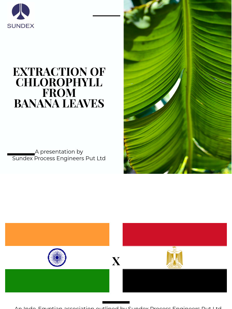 Sundex Presentation - Ed2 | PDF