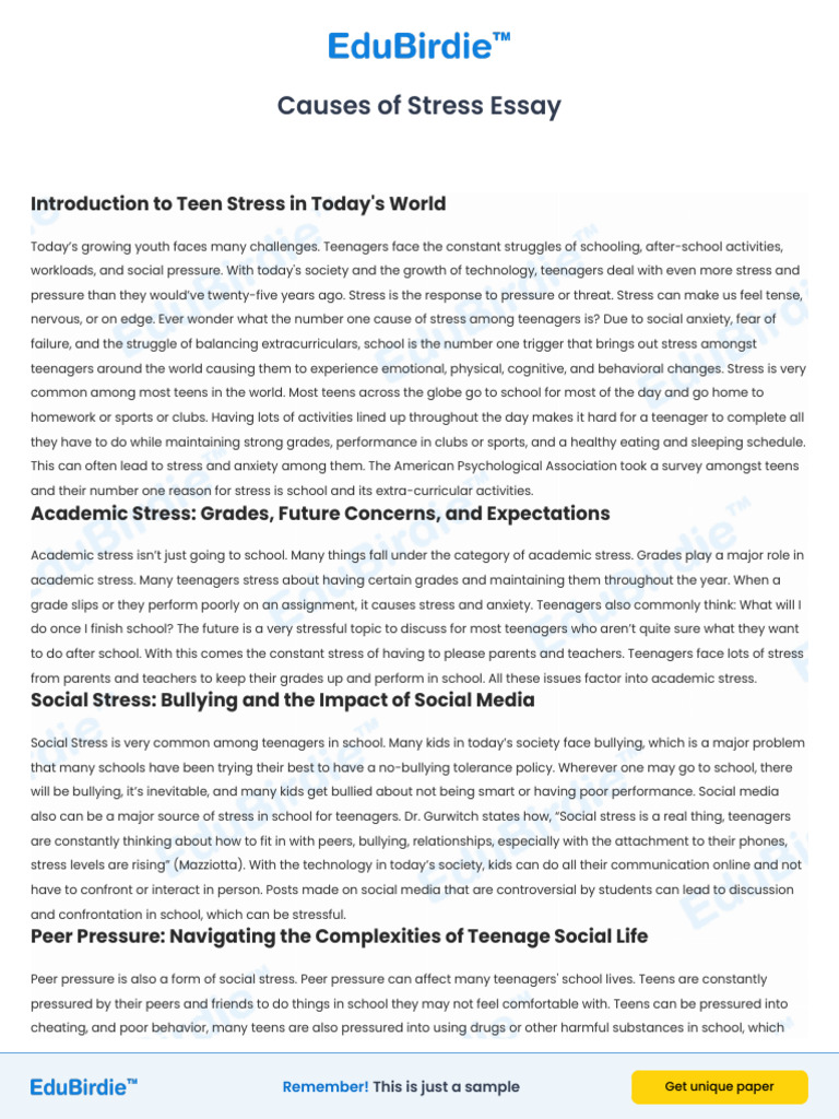 Causes of Stress Essay | PDF