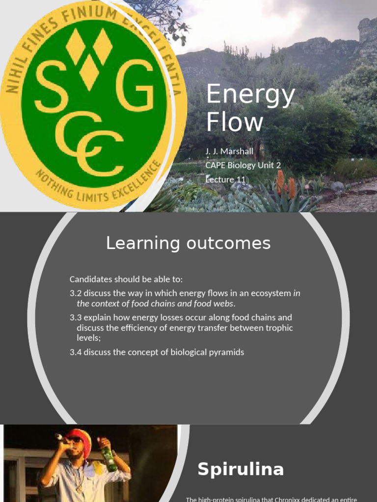 Energy Flow | PDF
