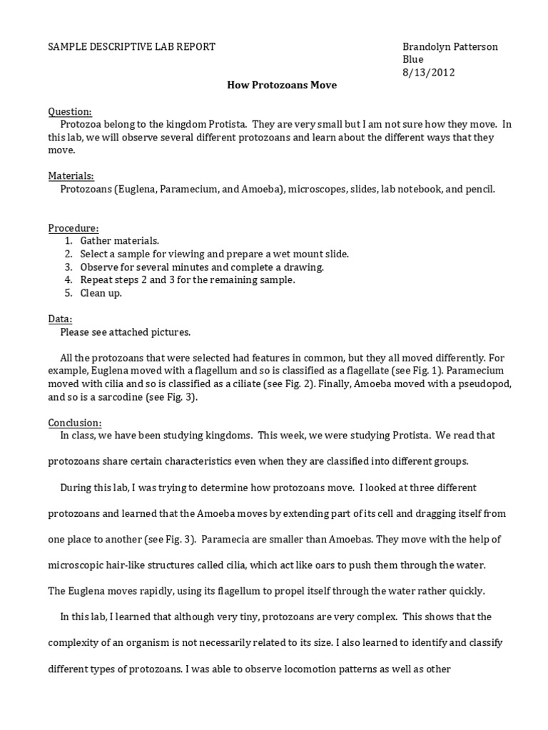 Sample Lab Report-Descriptive | PDF
