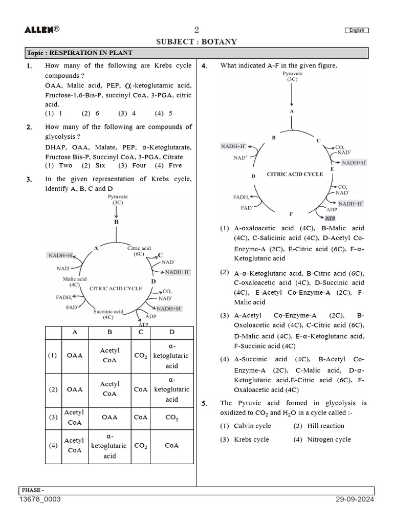 Tca & Kreb Cycle | PDF