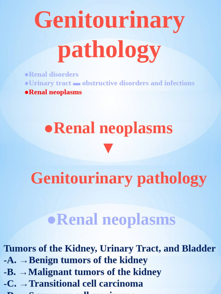 009a03 - Renal Neoplasms | PDF