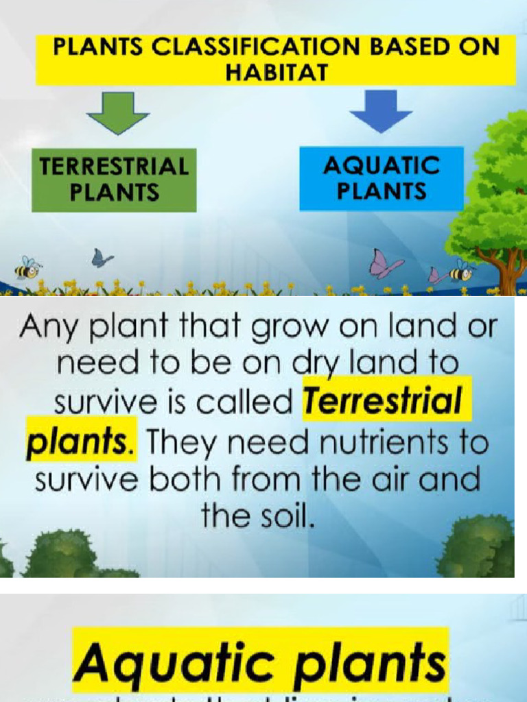 Plants | PDF