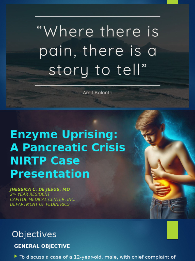 NIRTP Case Pres Final Version | PDF