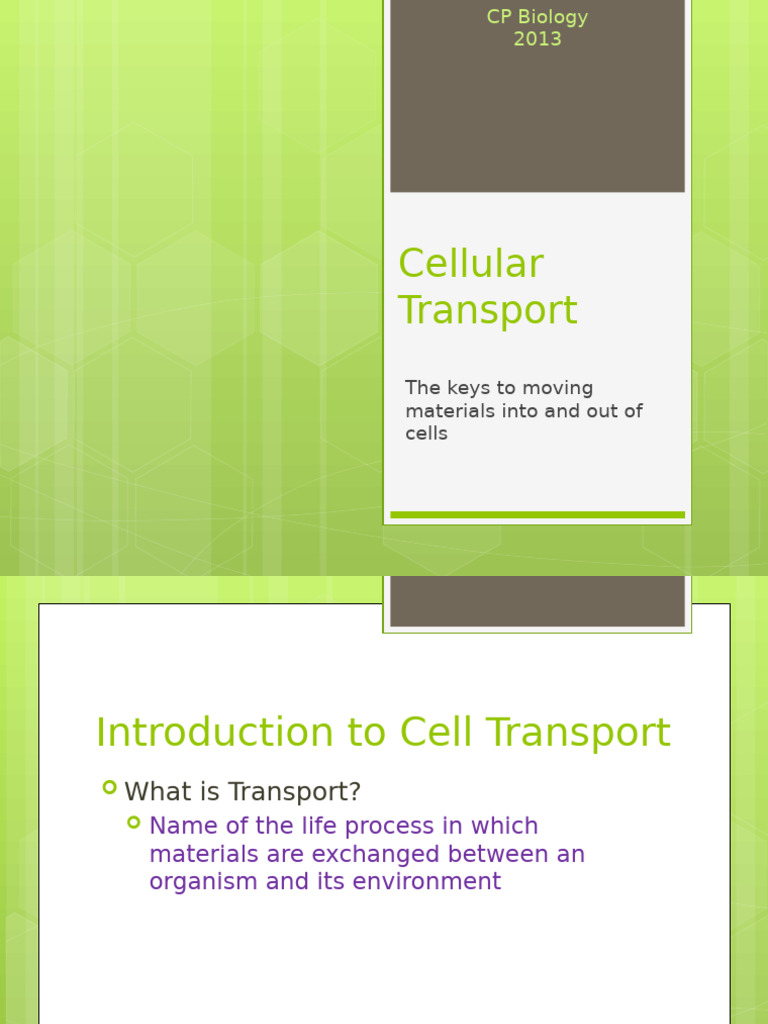Cellular Transport PPT MP | PDF