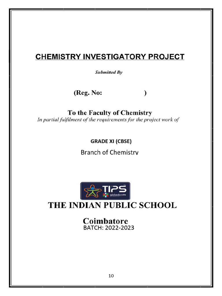 CHEM Project First Sheet | PDF