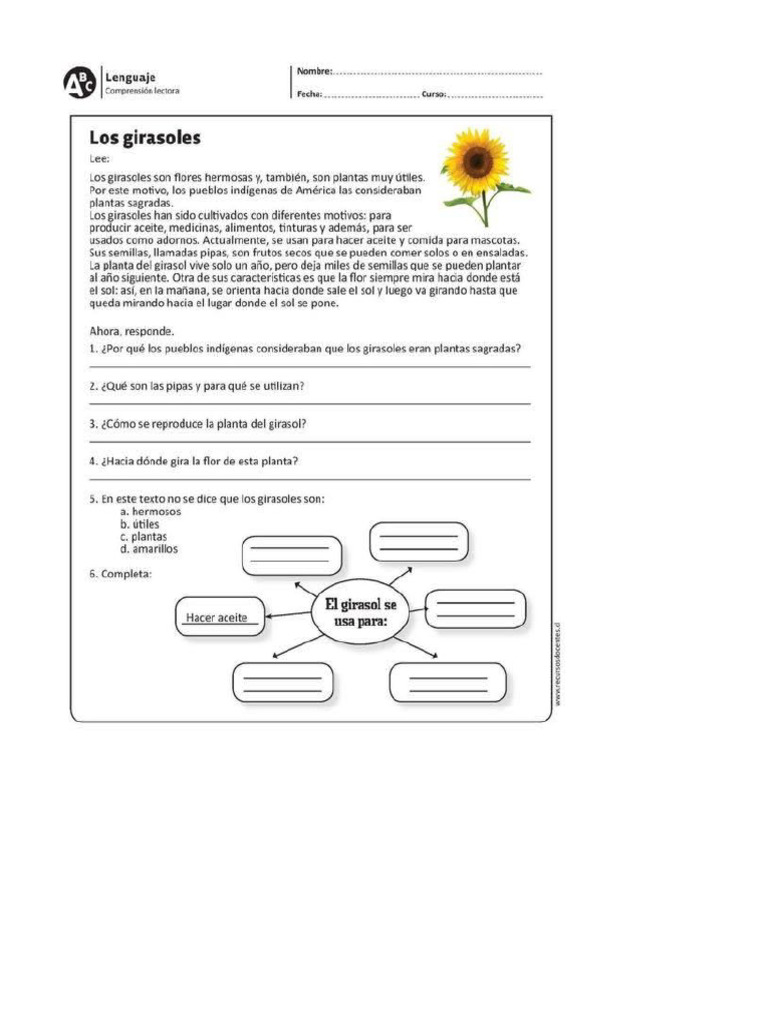 Actividades de Lectura 5° 23-24 | PDF