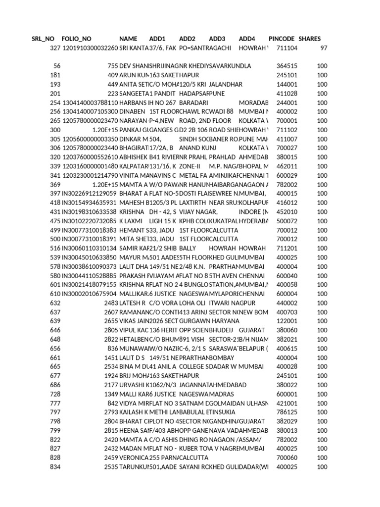 Merino Shareholder List | PDF
