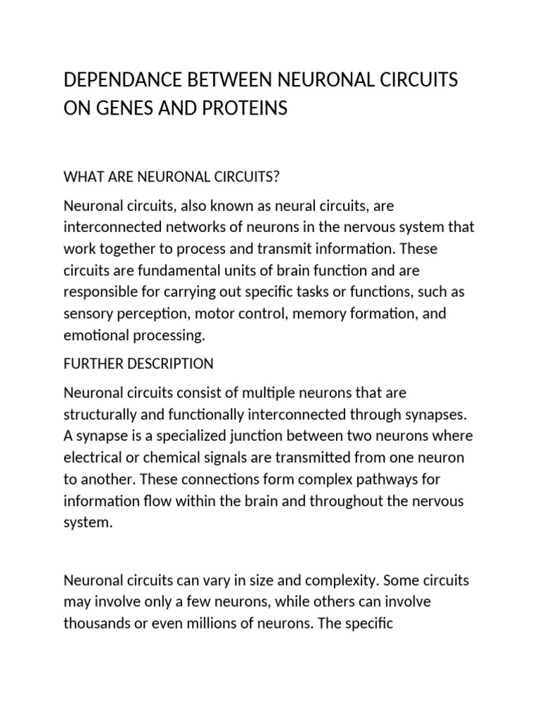 Dependance Between Neuronal Circuits On Genes and Proteins | PDF