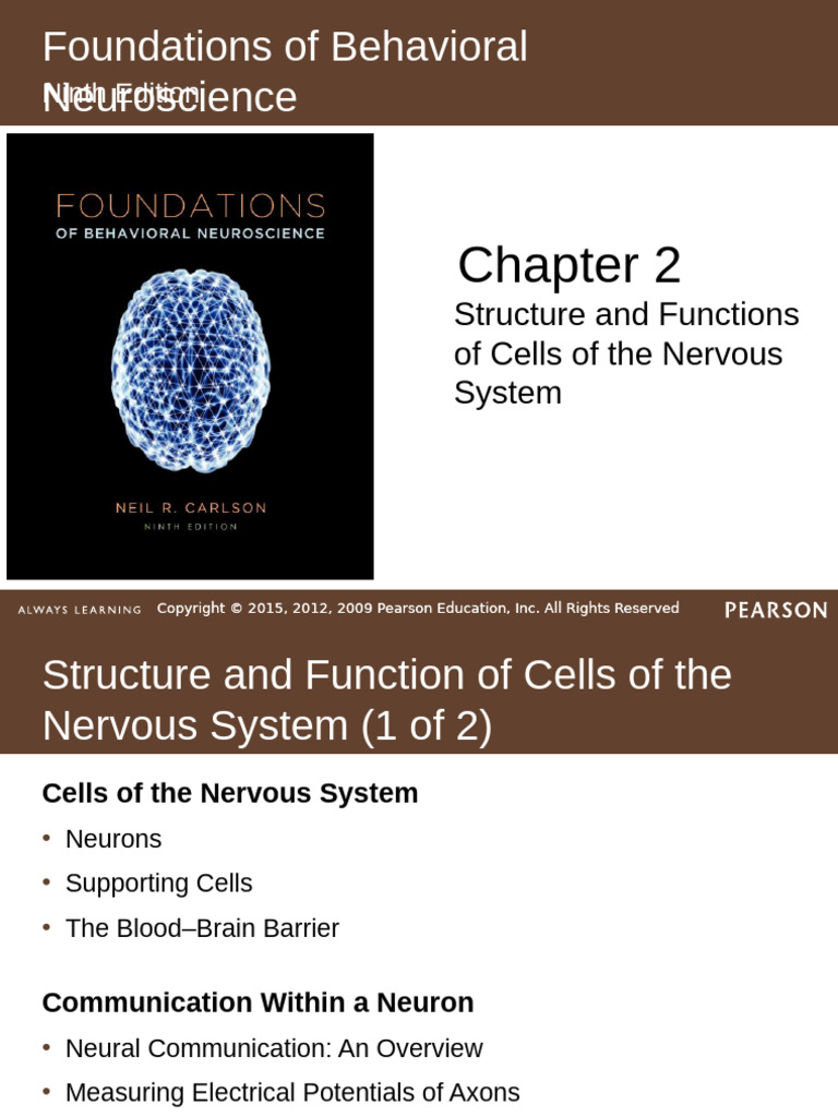 Carlson c02 Neurons | PDF