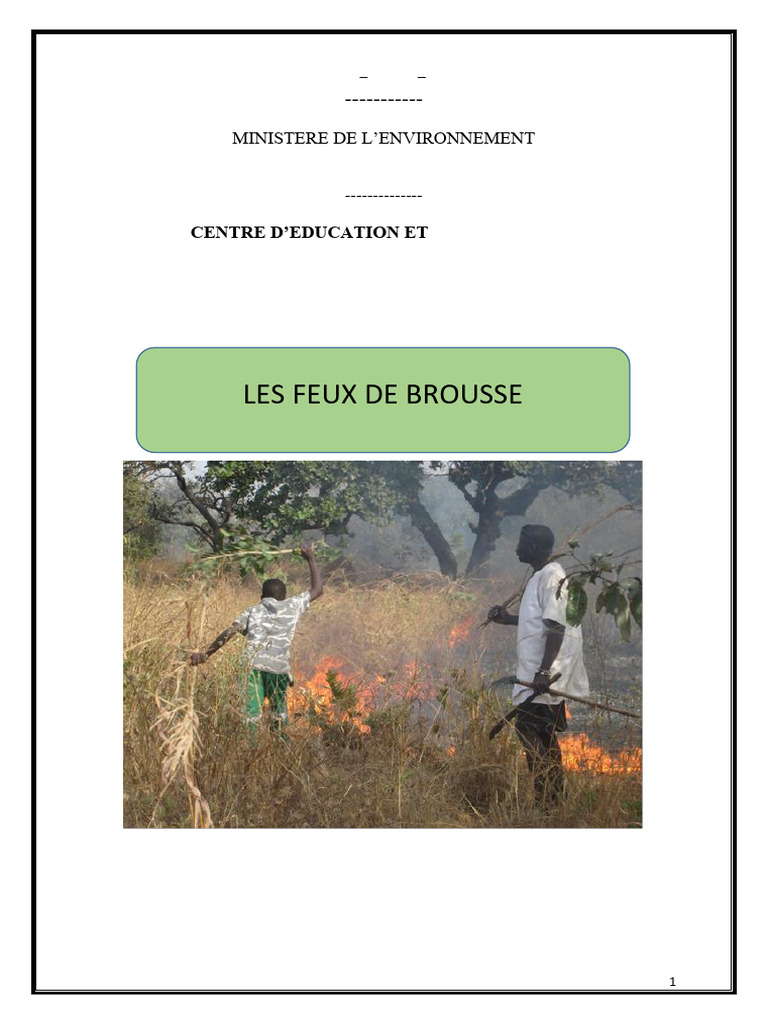 Feux de Brousse | PDF