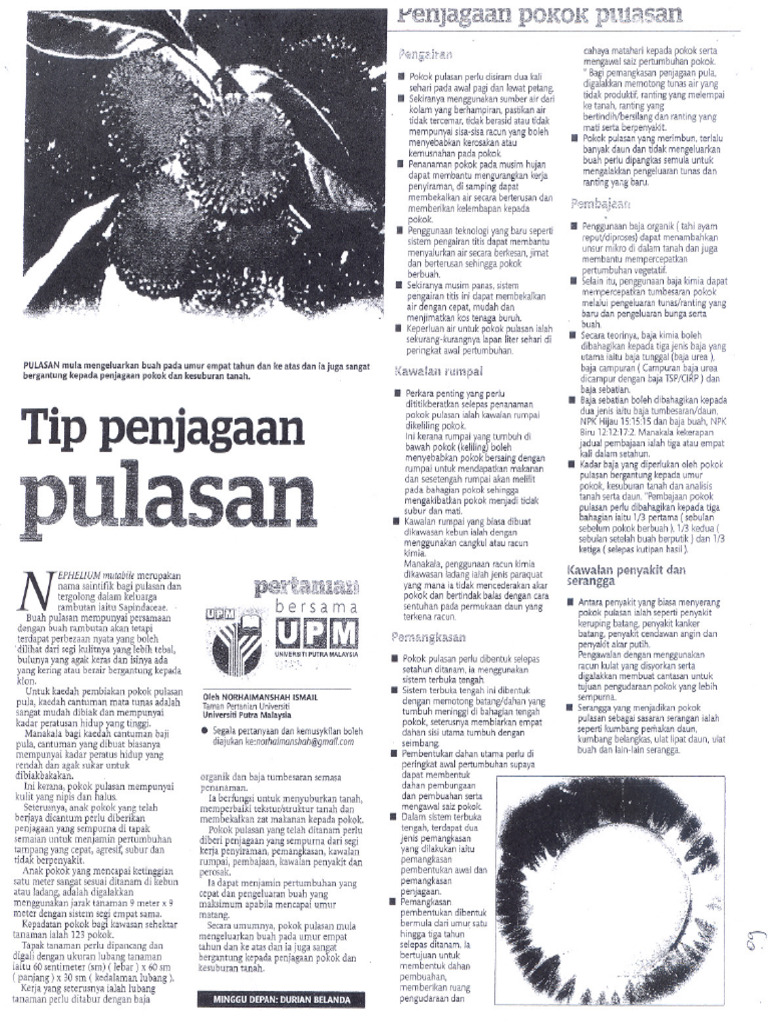 Tip Penjagaan: Avva An | PDF
